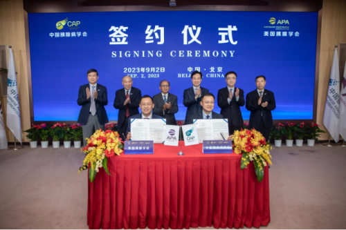 中美两国胰腺病学会签署合作协议